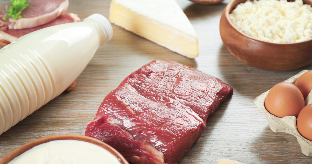 The 9 Best Animal-Based Foods | Blog